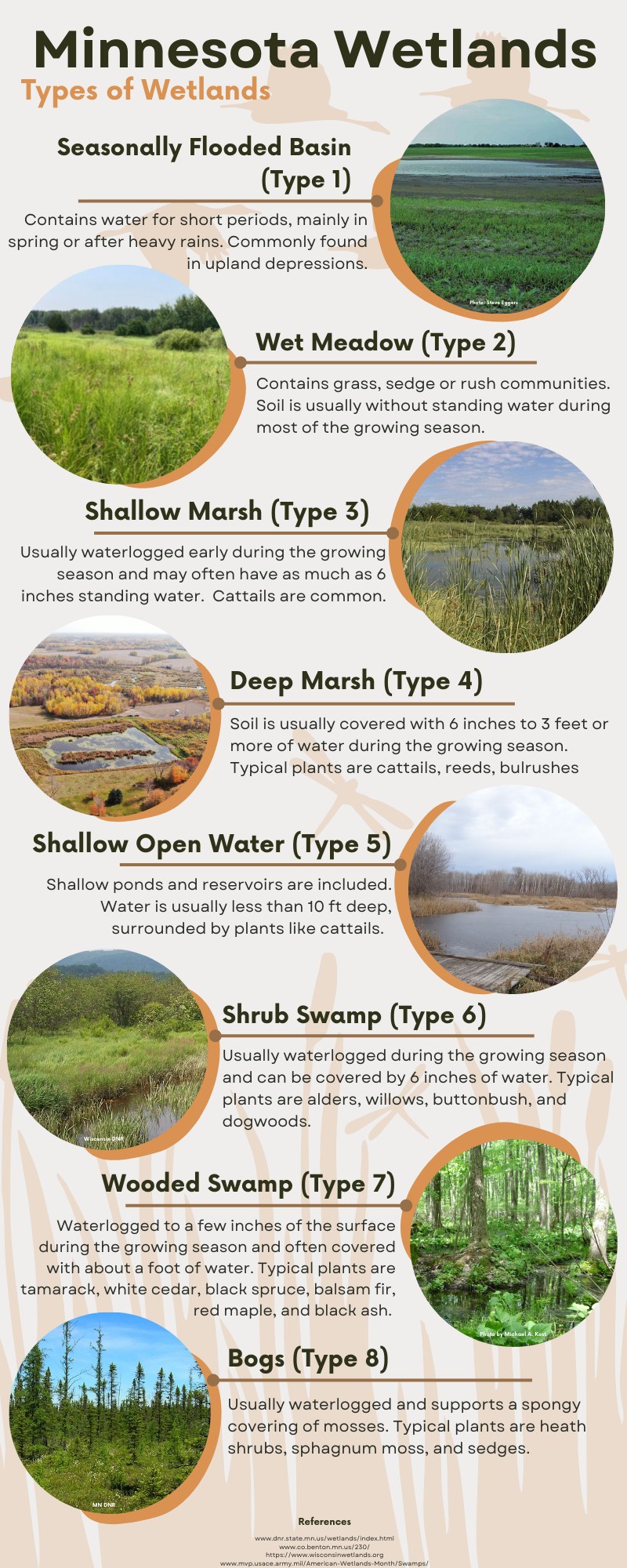 Is it a wetland? That is the question. – knickpoints